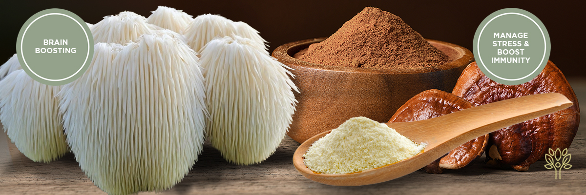 Mushroom Powder – The Health Food Emporium