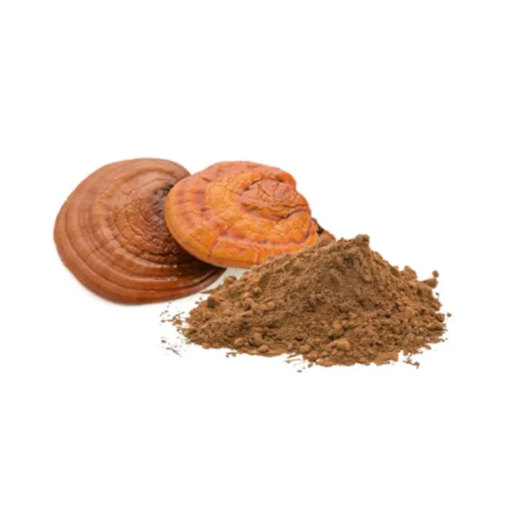Reishi Mushroom Powder | The Health Food Emporium